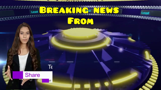 How To Build Your Online Brand | BBVM Agency